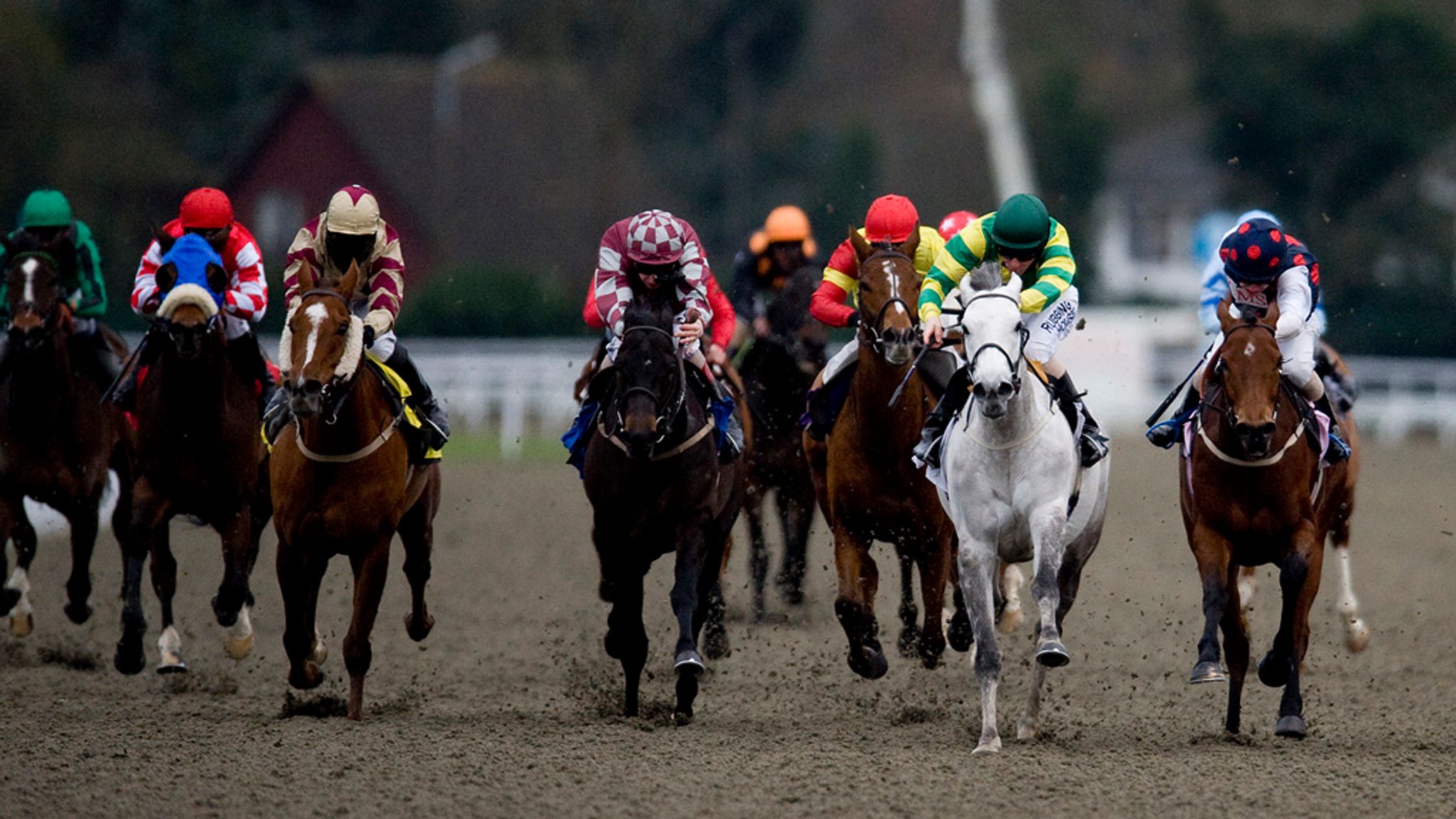 £1 offer at Kempton | Racing News | Sky Sports