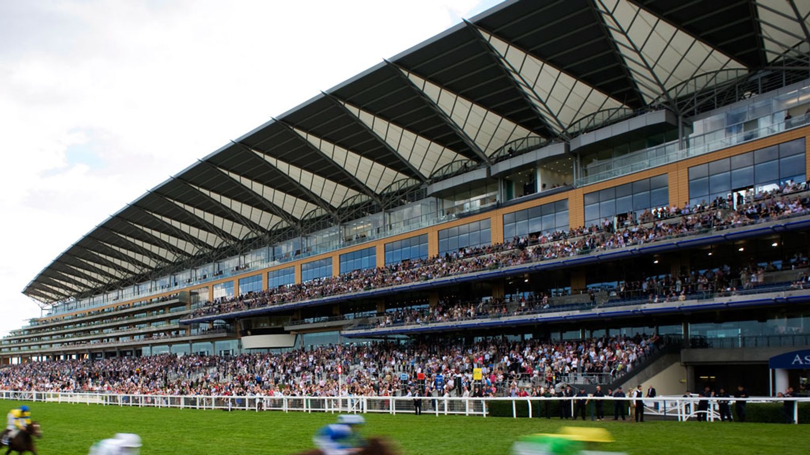 Cat not certain for Ascot | Racing News | Sky Sports