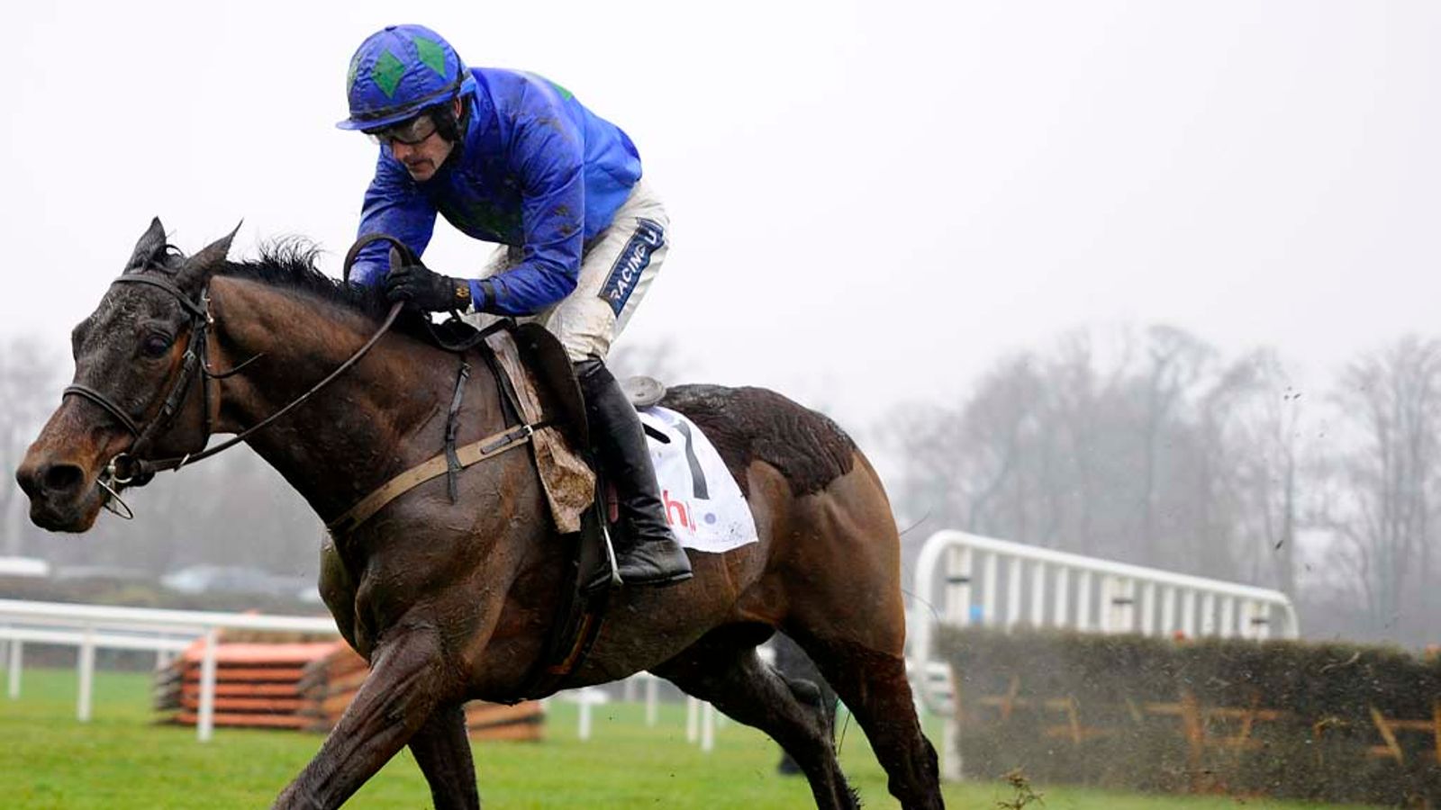 Fly tops Champion | Racing News | Sky Sports