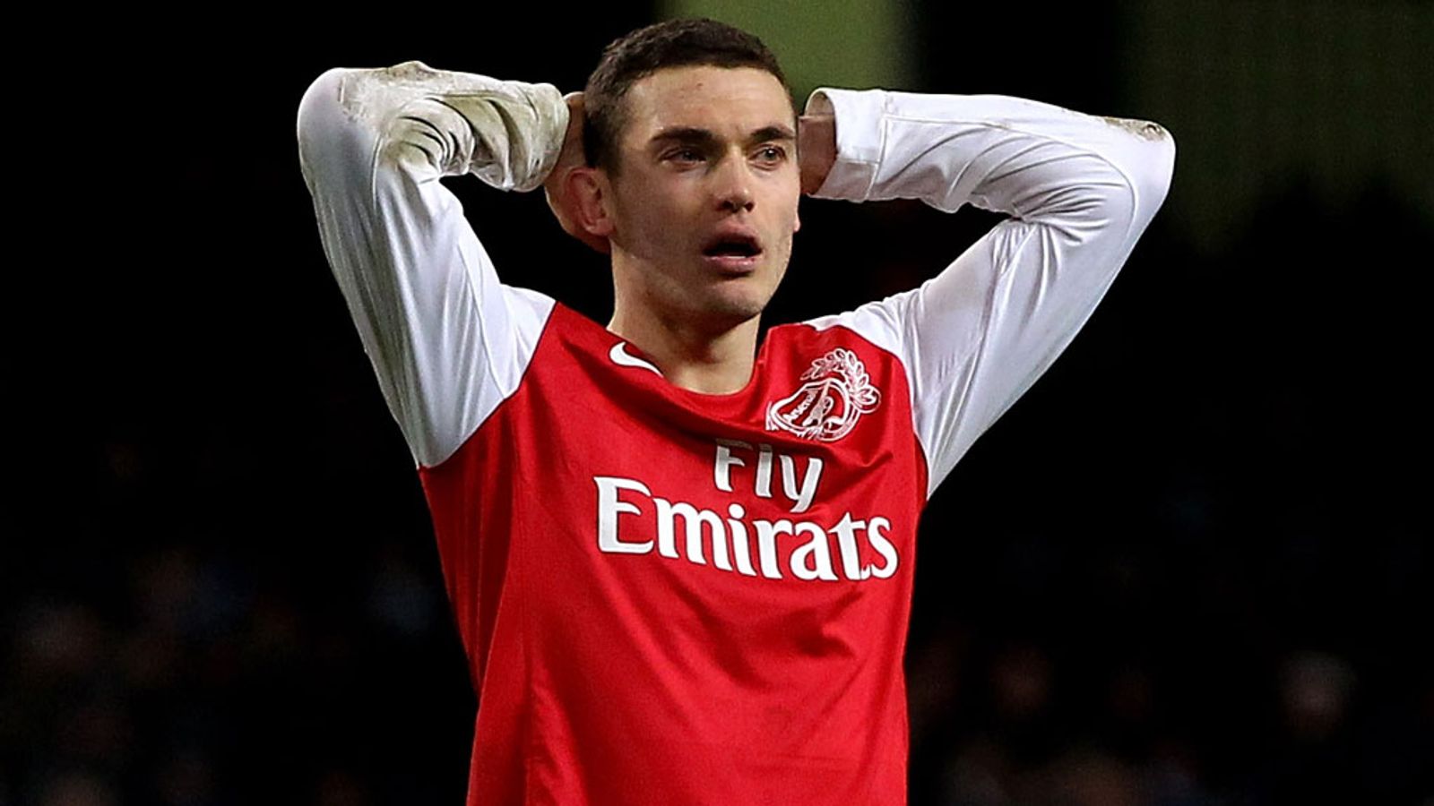 Vermaelen ready for Ibrahimovic | Football News | Sky Sports
