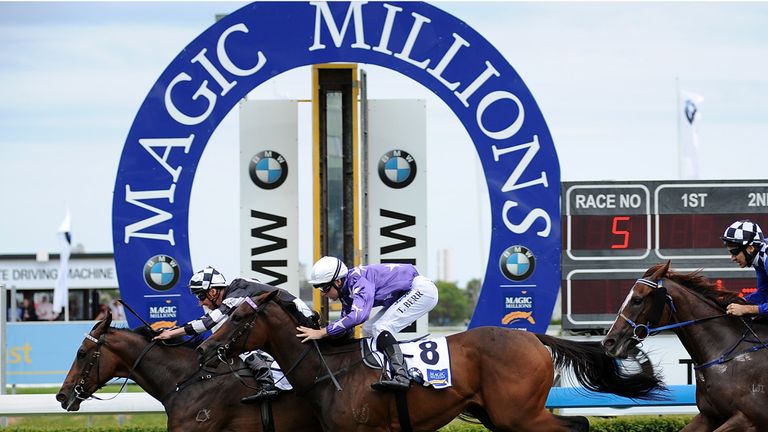 Magic Millions | Racing News | Sky Sports
