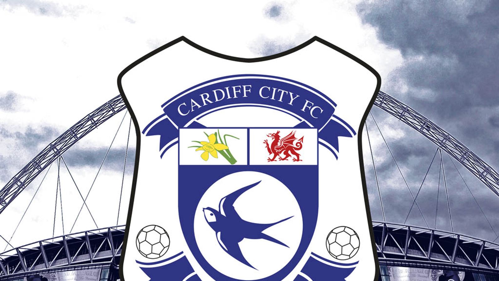 Cardiff's route to Wembley | Football News | Sky Sports