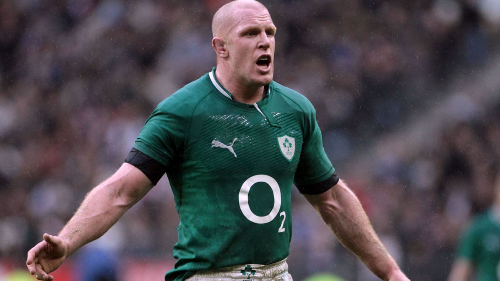 Ireland forwards Paul O'Connell and Cian Healy are winning their ...