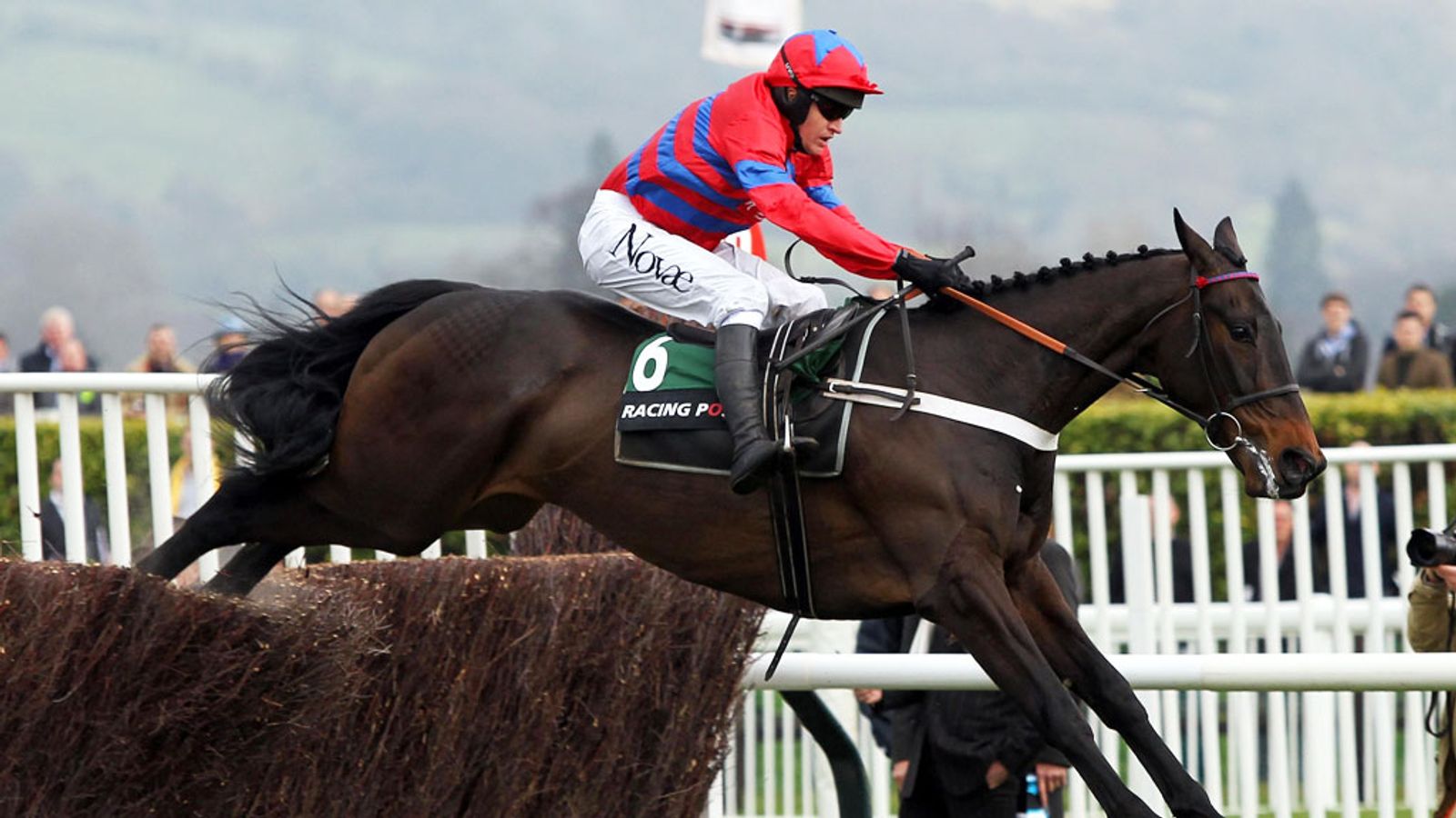 Sprinter Sacre scares away Cheltenham rivals | Racing News | Sky Sports