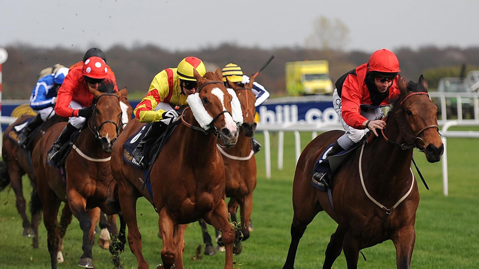 Options open for The Cheka | Racing News | Sky Sports