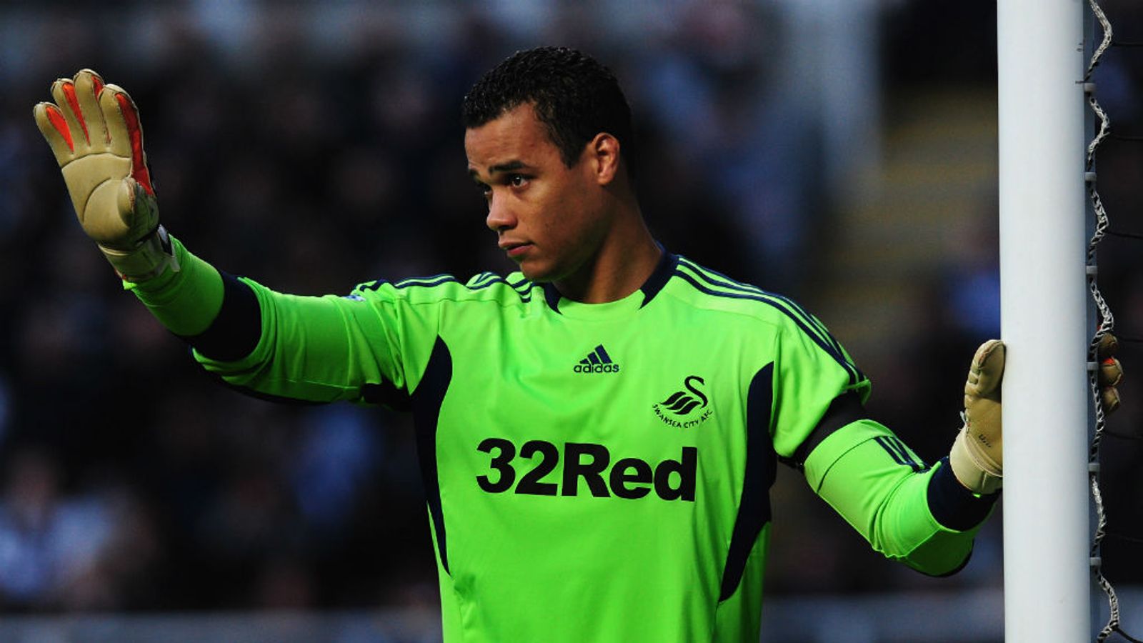 Swansea goalkeeper Michel Vorm is close to finalising a new deal at the ...