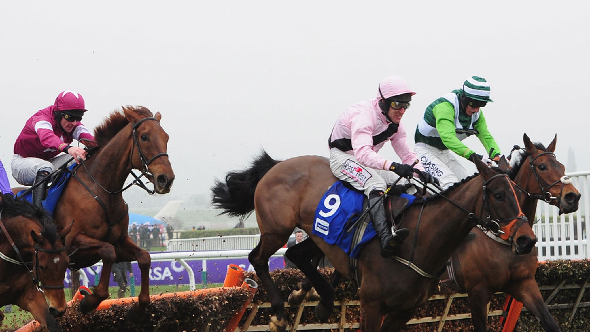 Jessica Harrington is confident Oscars Well can run a big race at ...