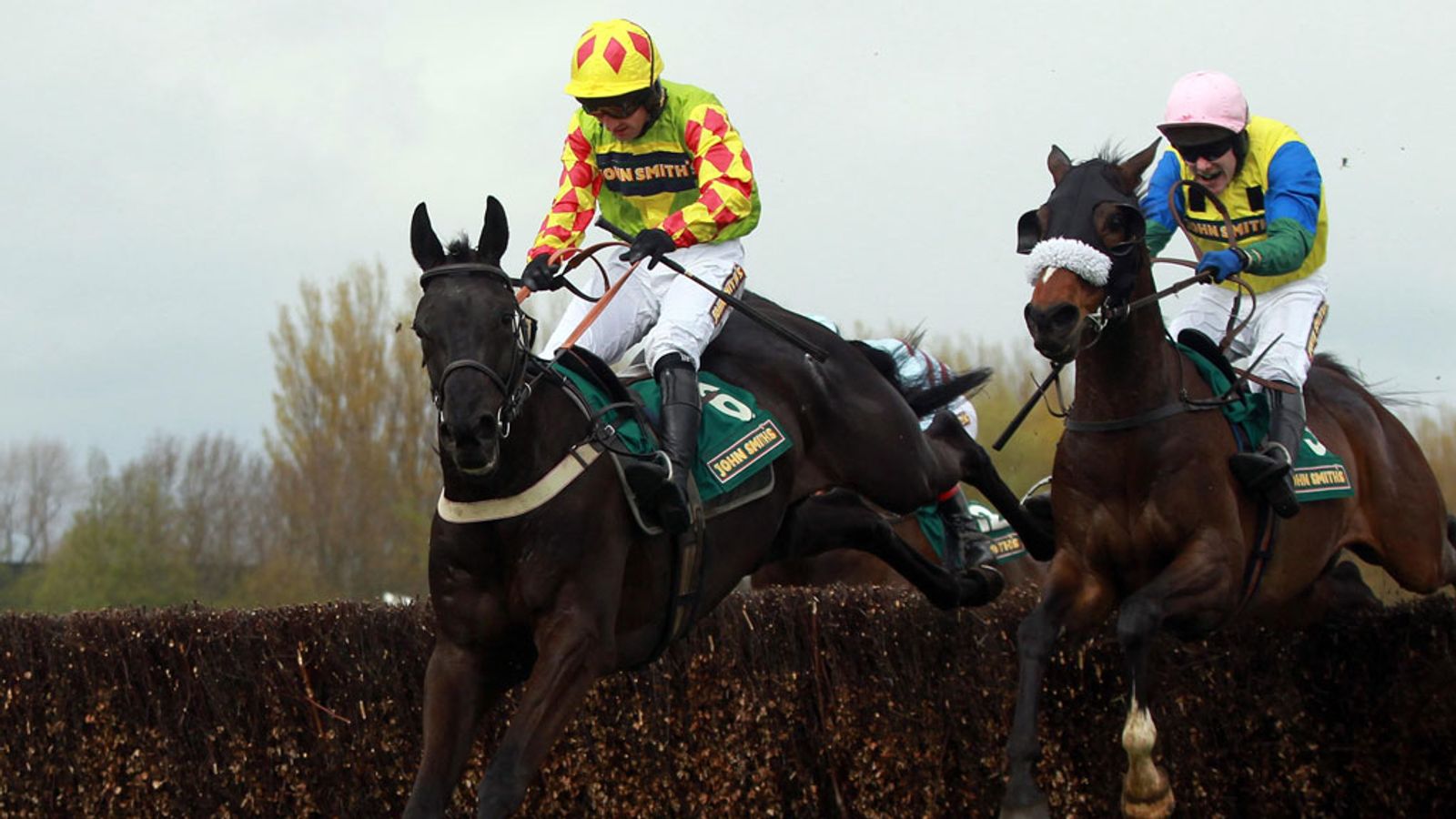 Tim Vaughan plans to have Saint Are cherry-ripe for his first run of ...
