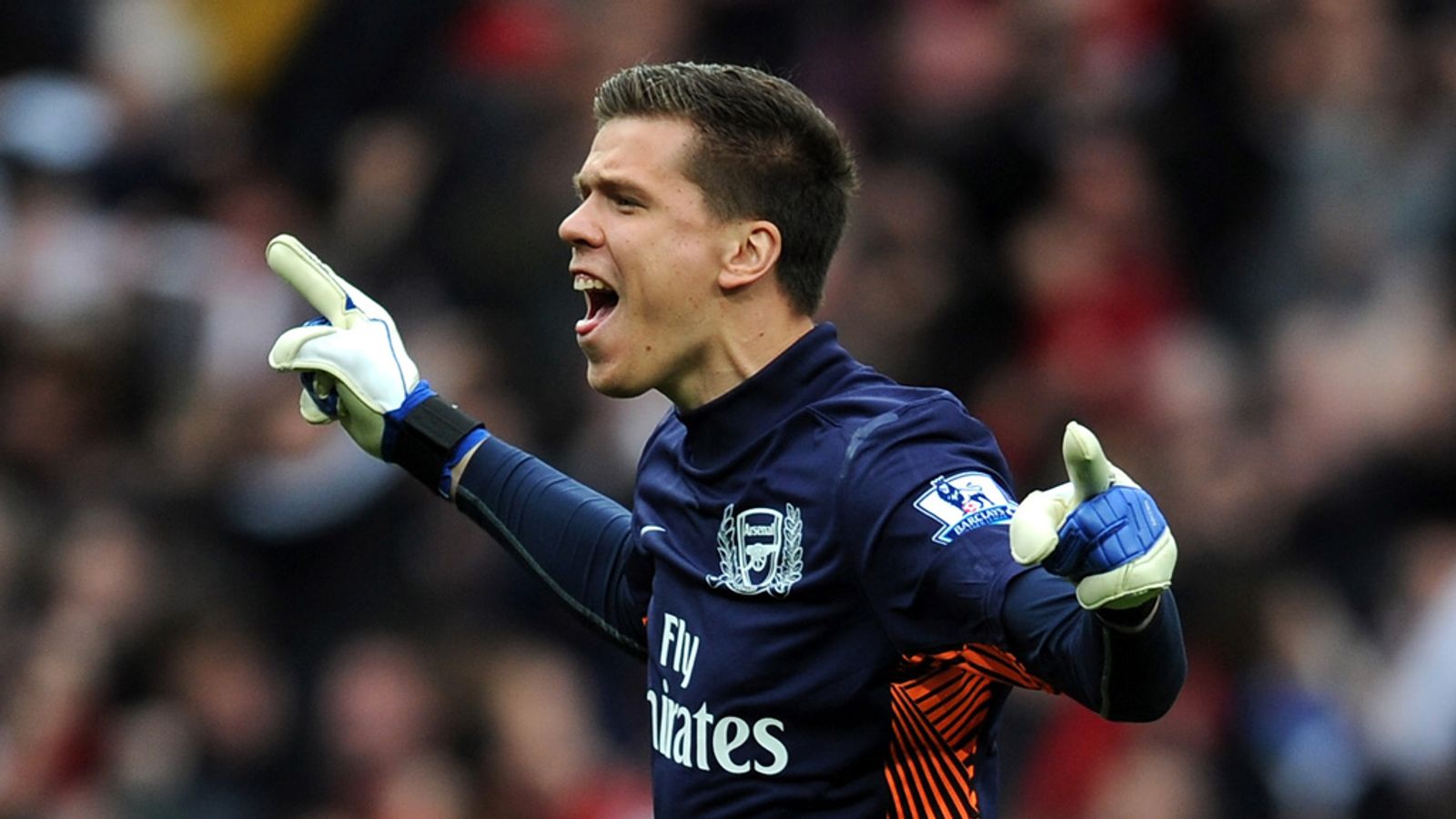 Arsenal goalkeeper Wojciech Szczesny keen to get back in top four ...