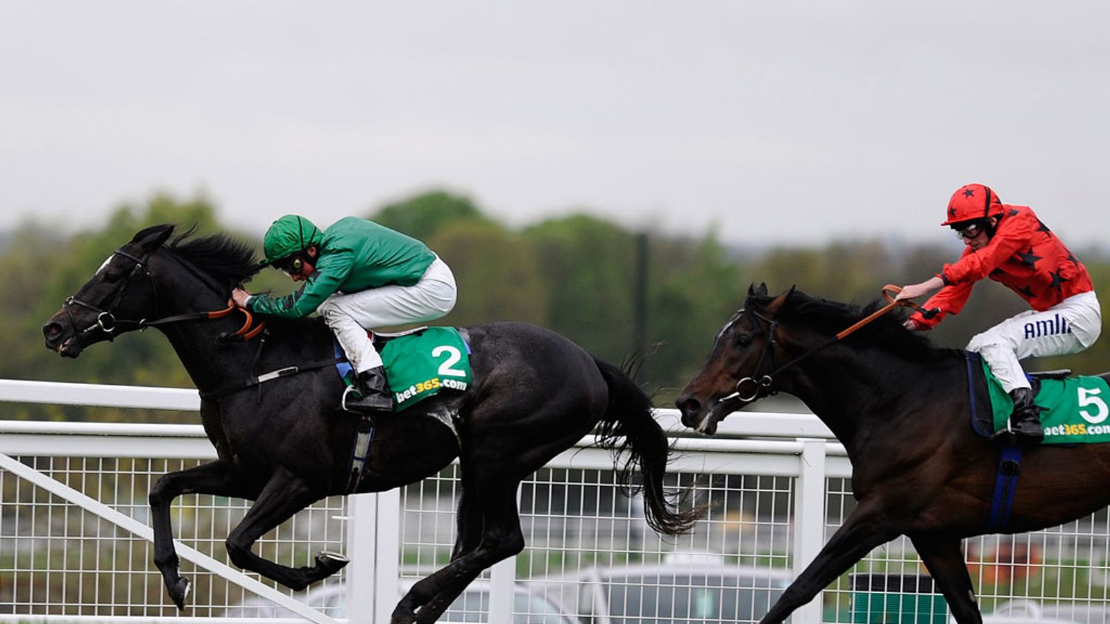 Colombian sees off Poet | Racing News | Sky Sports
