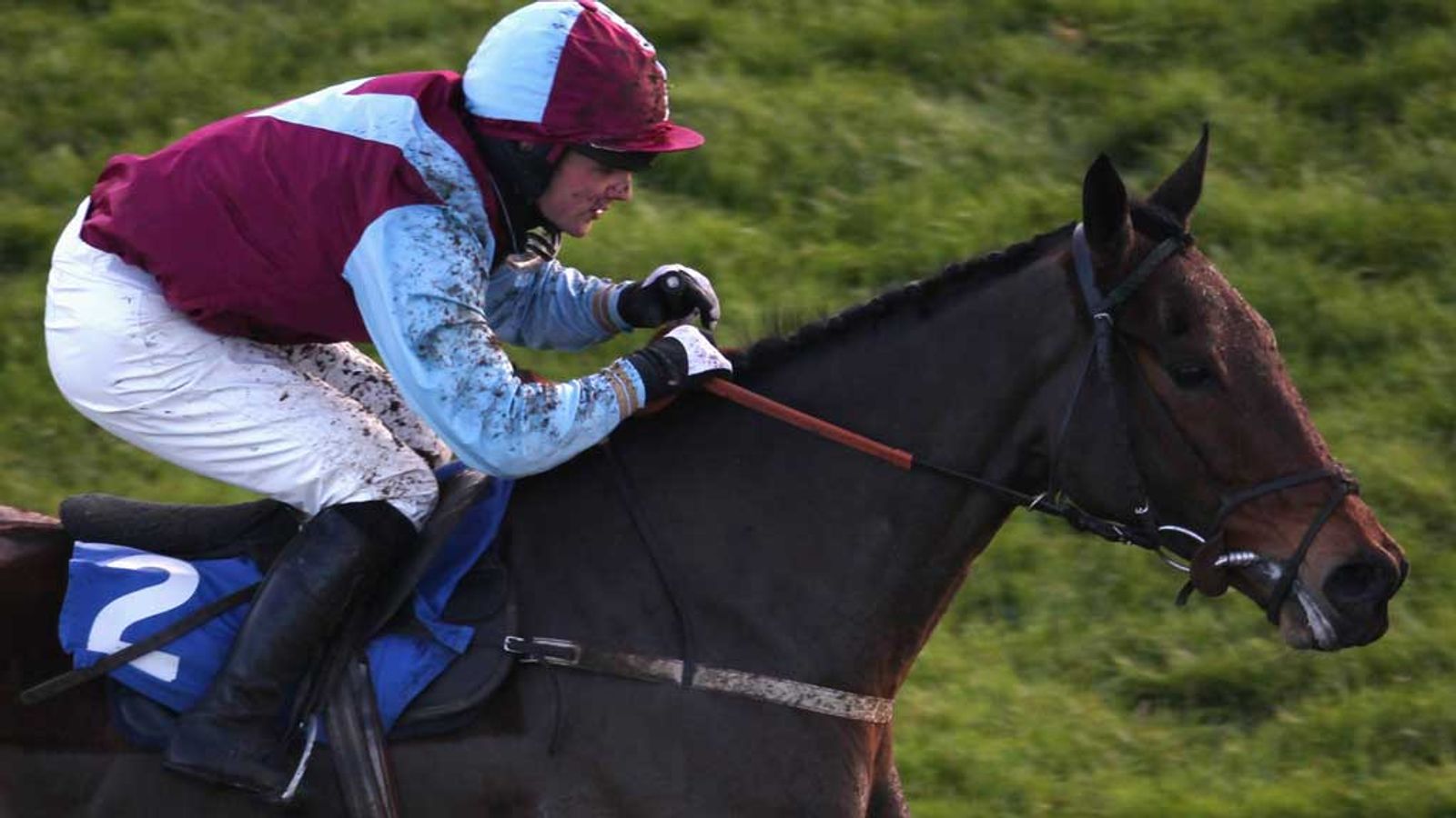 Lie Forrit out of Ayr | Racing News | Sky Sports