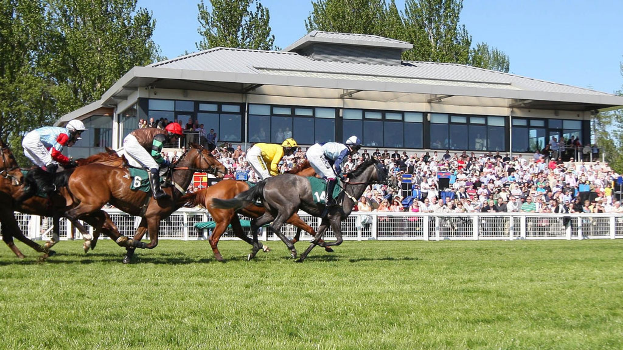Stuart Crawford saddles three runners on Perth card | Racing News | Sky ...