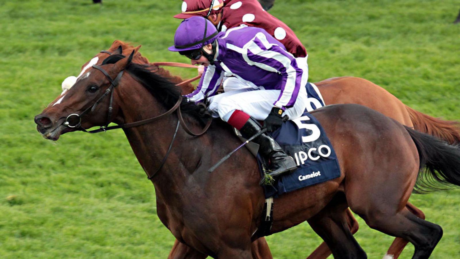 O'Brien: Camelot will stay | Racing News | Sky Sports