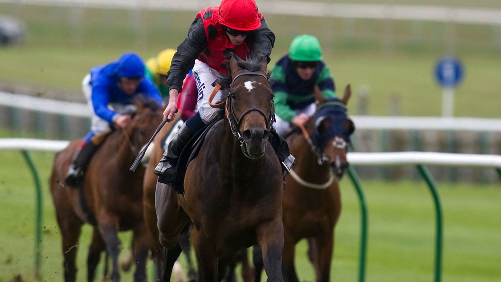 Ballydoyle dominate Guineas | Racing News | Sky Sports