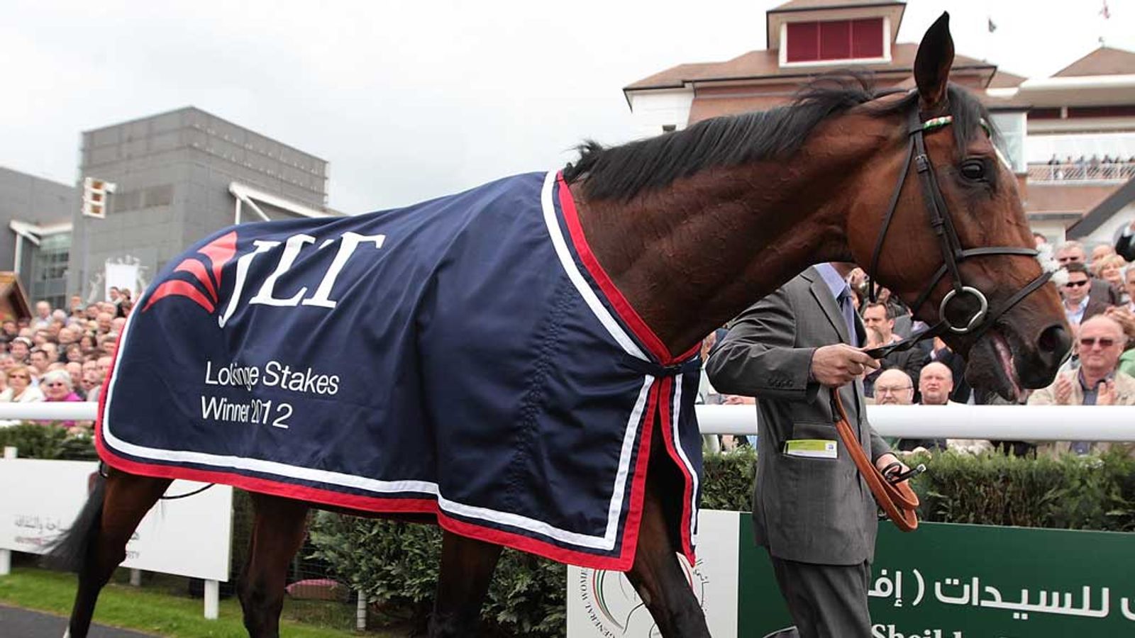 Frankel on an upward curve | Racing News | Sky Sports