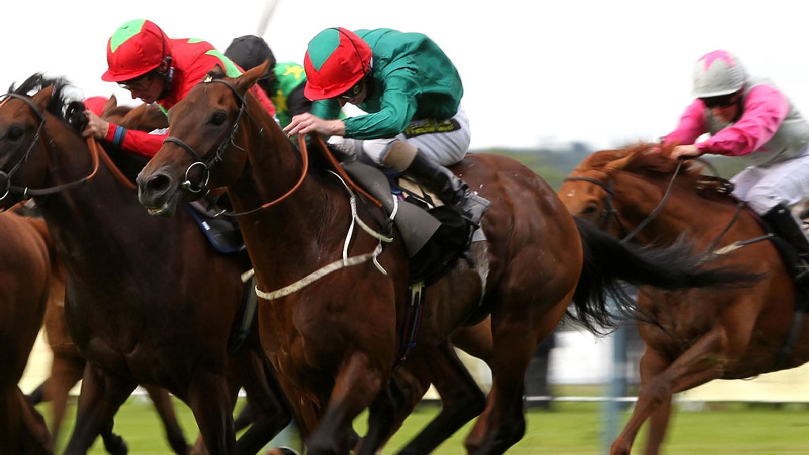 Fennell Bay made a successful start to his jumping career with victory ...