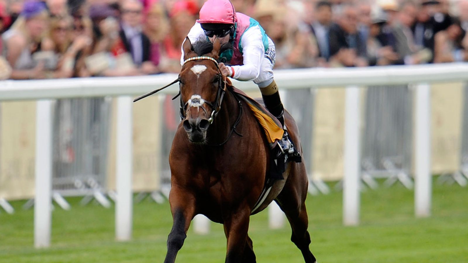 Frankel second best | Racing News | Sky Sports