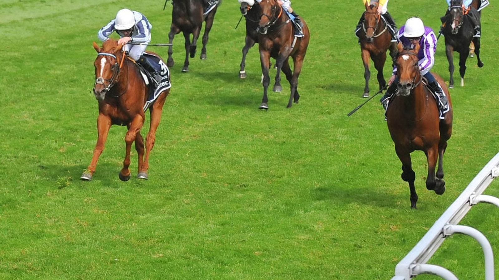 David Lanigan's Investec Derby runner-up Main Sequence is set to kick ...