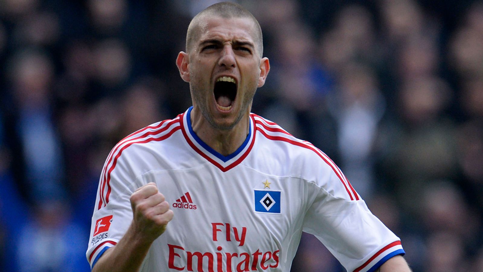 Cottagers snap up Petric | Football News | Sky Sports