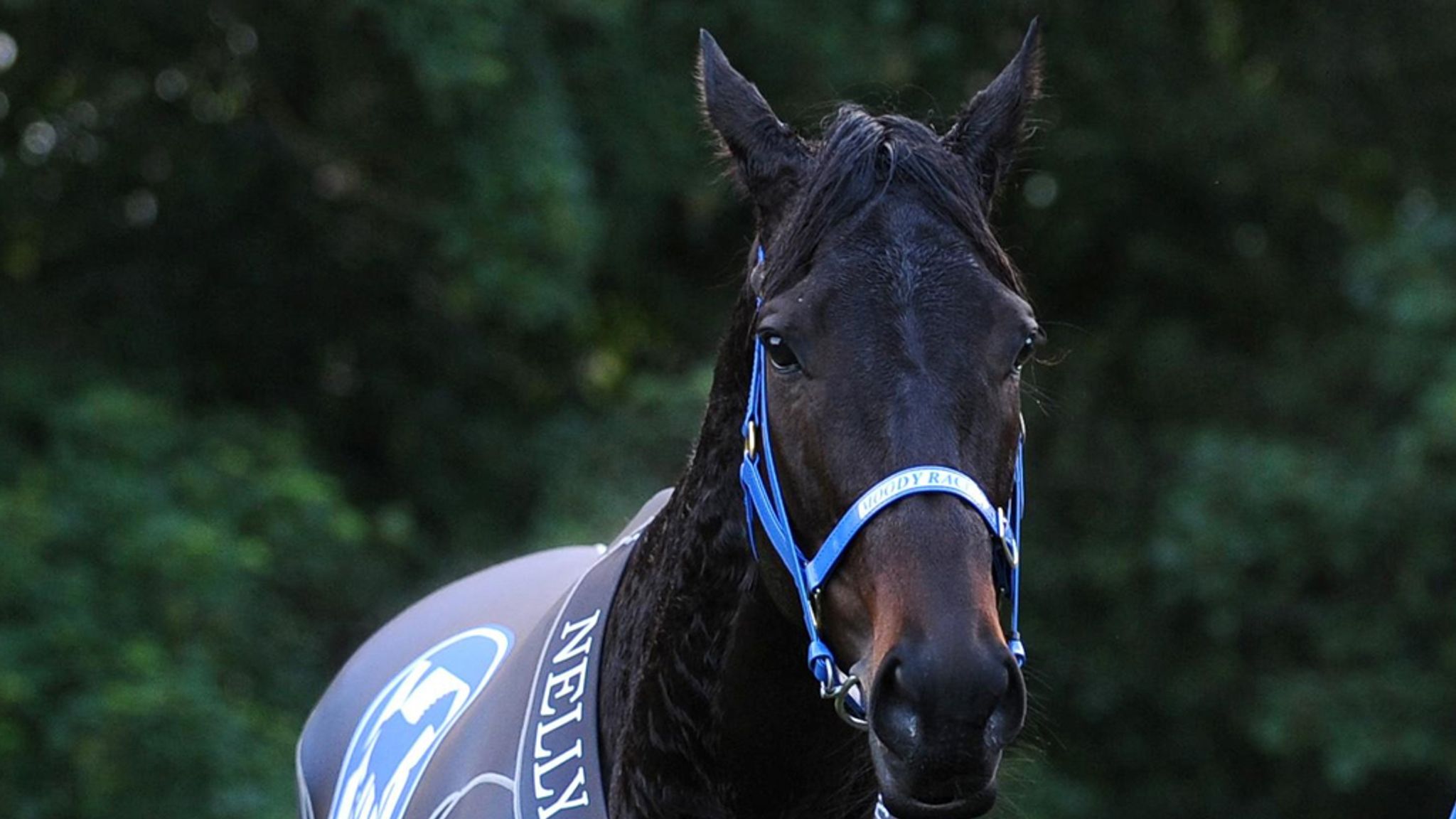 Tip-top Caviar | Racing News | Sky Sports