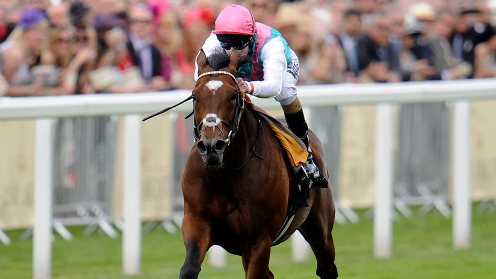 Frankel leads Champions entry | Racing News | Sky Sports