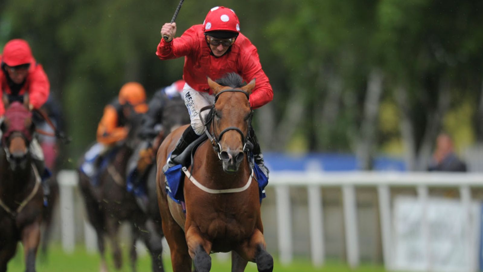 Mayson makes his mark | Racing News | Sky Sports