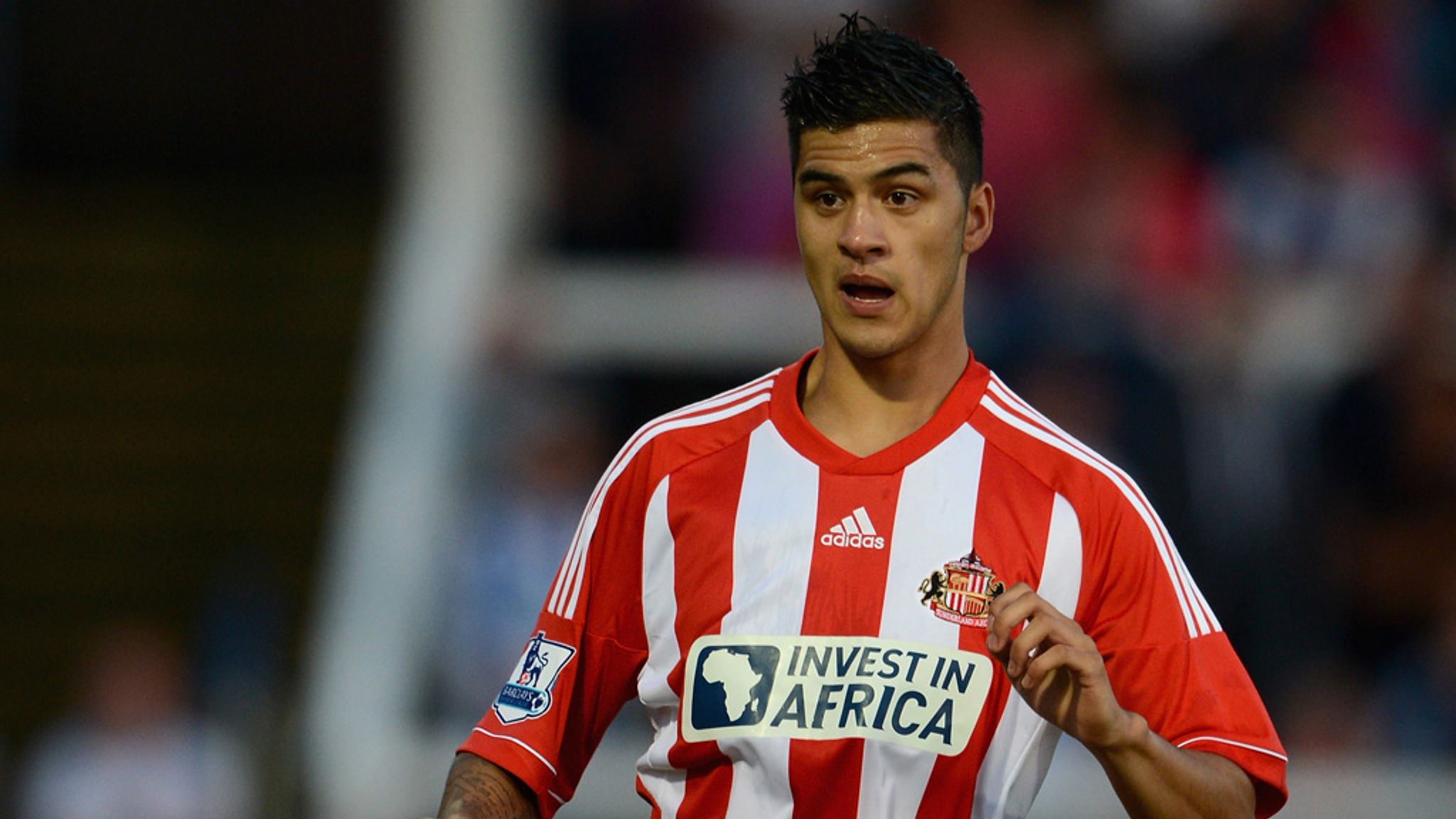 Adam Reed concedes that he is likely to leave Sunderland in the summer ...