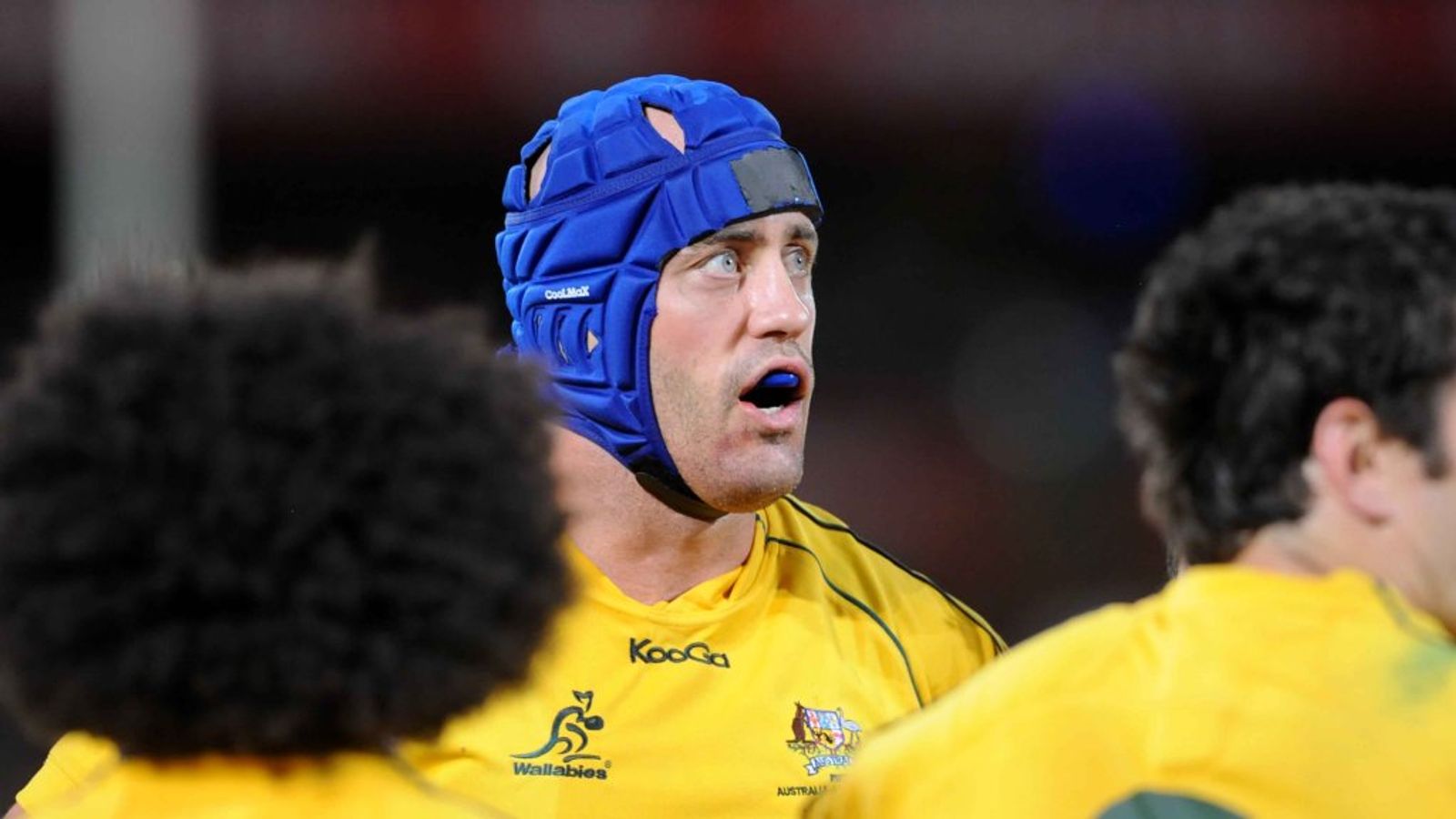 Nathan Sharpe to captain Australia on their tour of Europe | Rugby ...