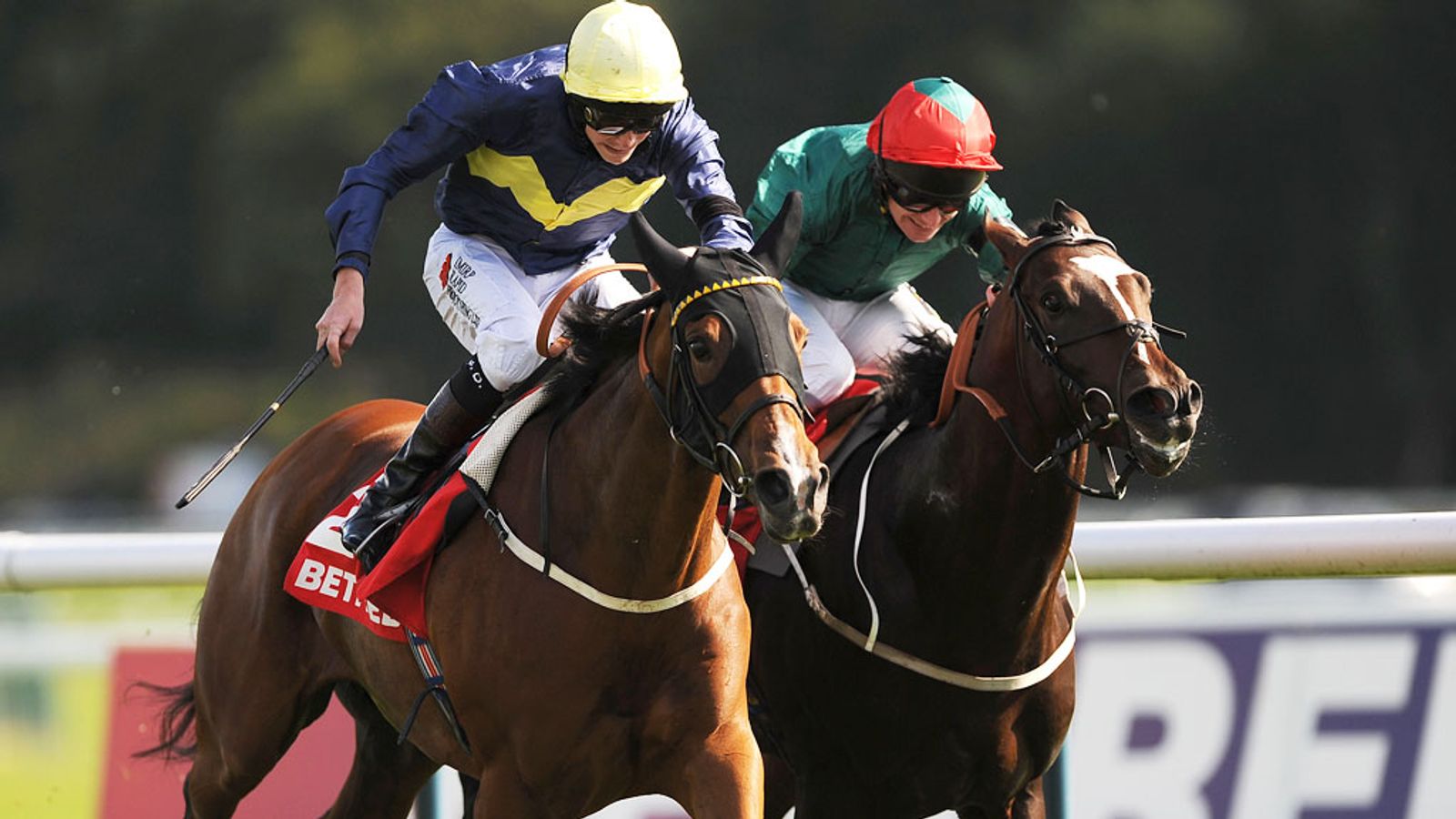 Bird skips Curragh for Epsom | Racing News | Sky Sports