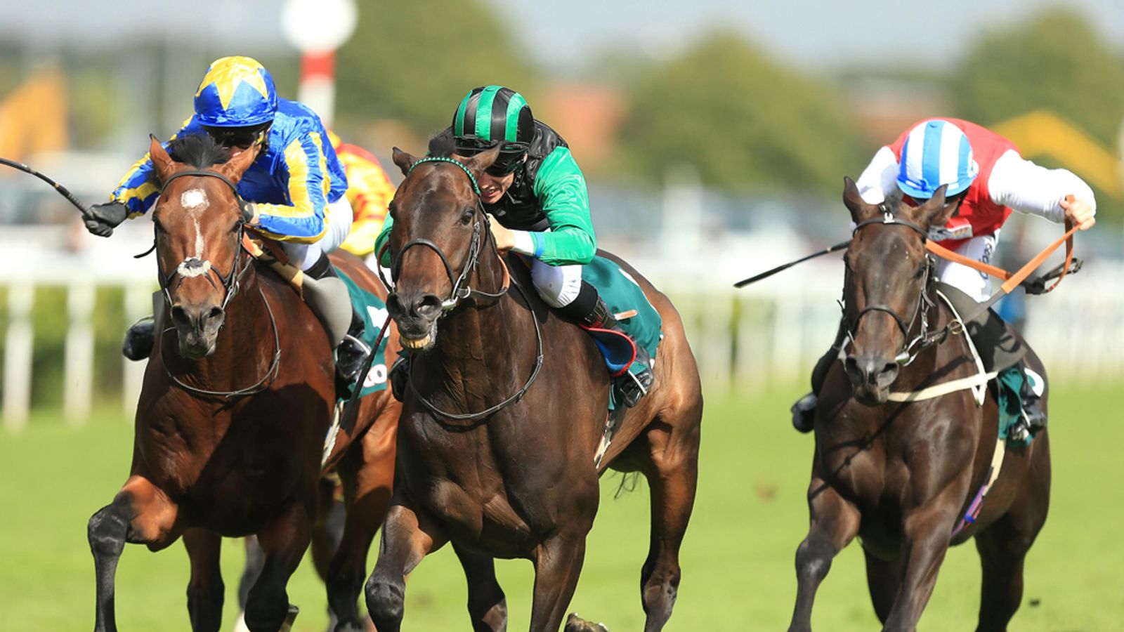 Times Tops Eight Contenders For The Doncaster Cup Racing News Sky times-tops-eight-contenders-for-the-doncaster-cup-racing-news-sky