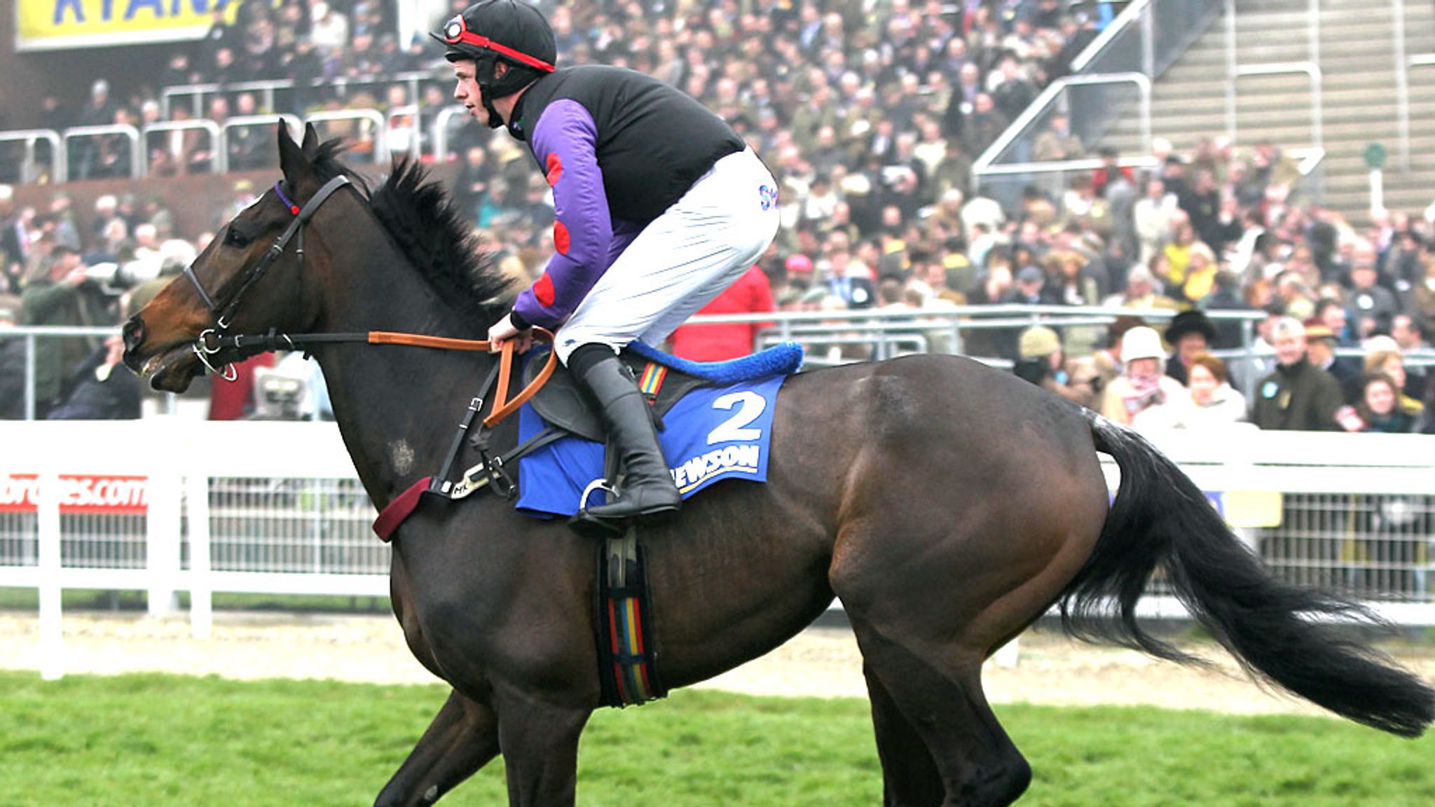 Champion Court set for check-up following Paddy Power run | Racing News ...