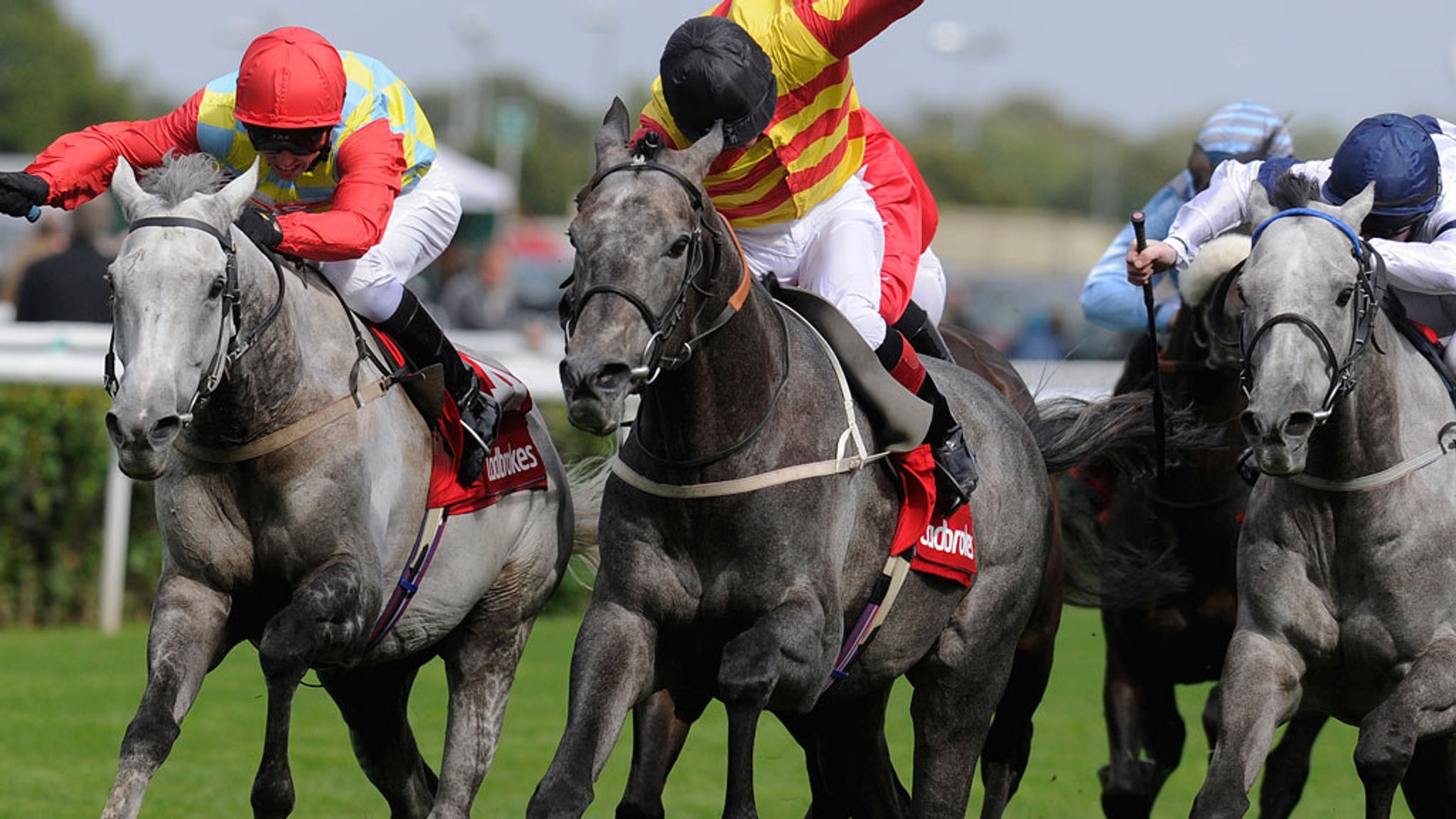 Sir Graham on the rise | Racing News | Sky Sports