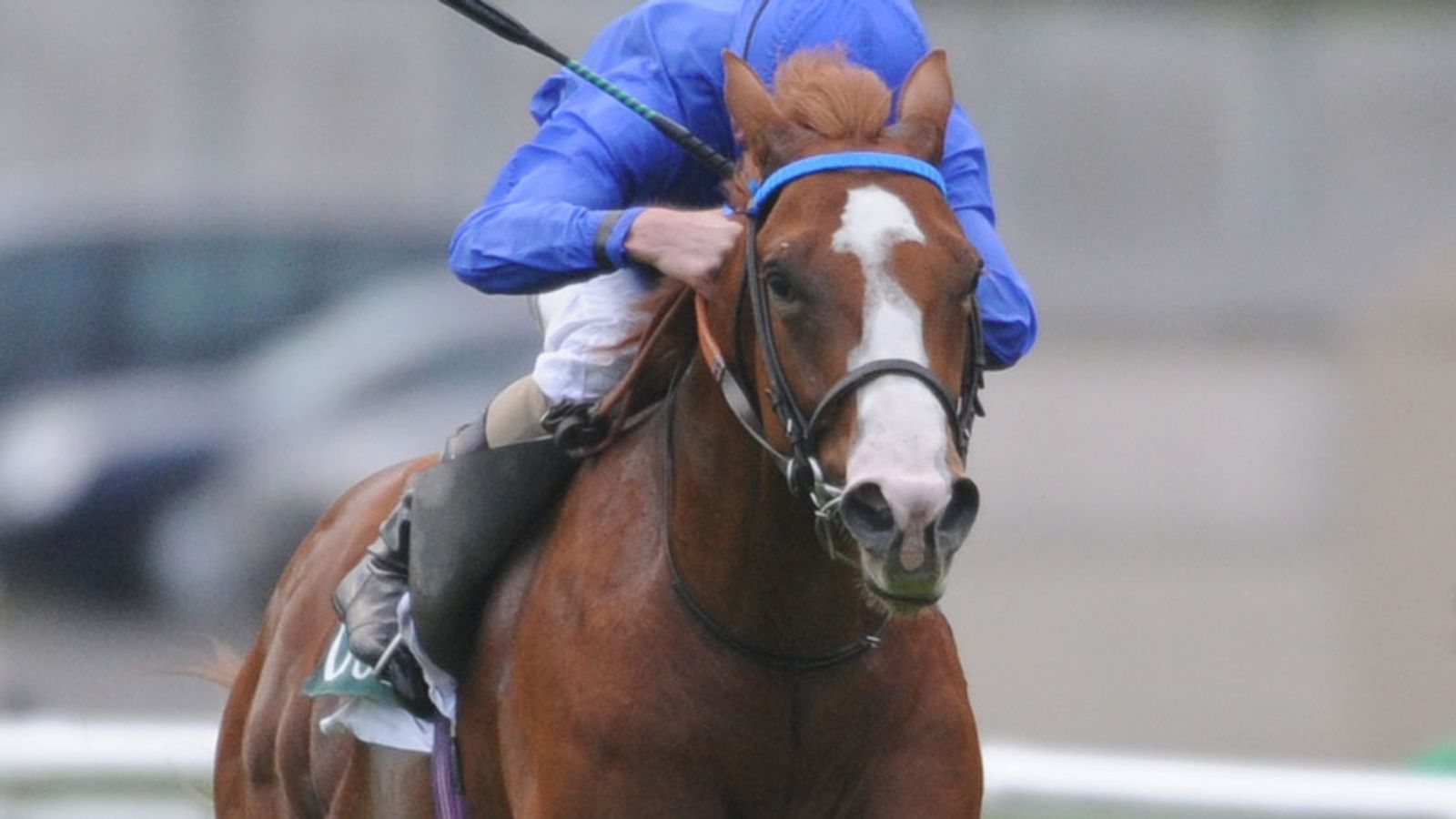 The stud fee for New Approach has been increased after a successful ...