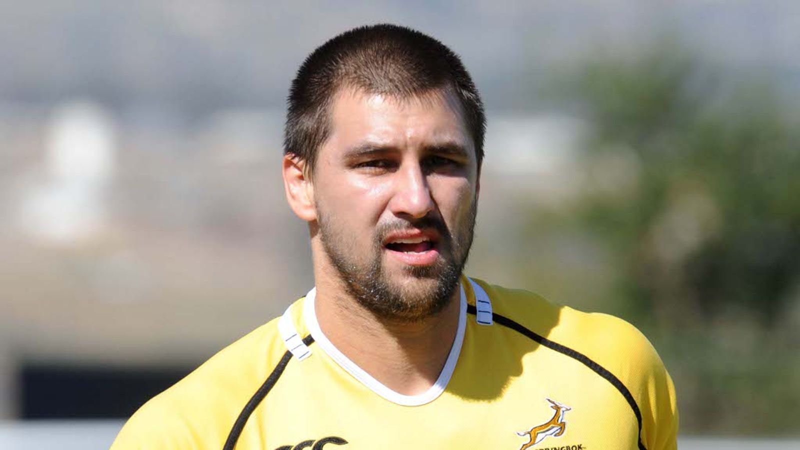 Jacques Potgieter has agreed to extend his stay at the Bulls | Rugby ...