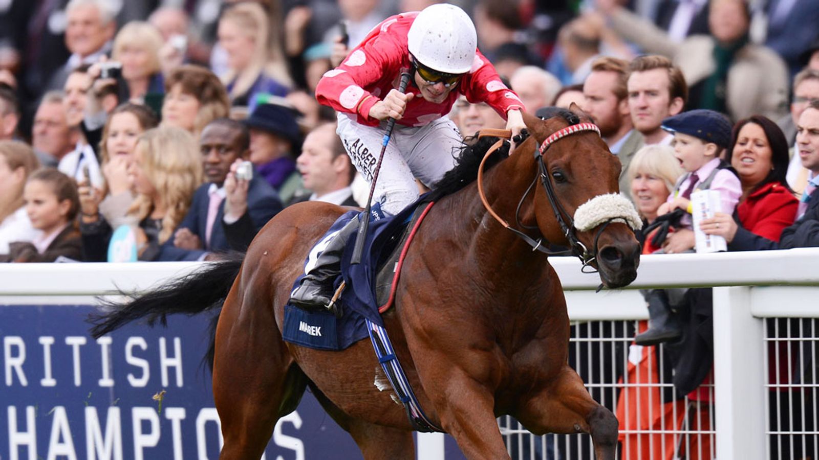 An Saighdiur strikes at Cork to score for Andrew Slattery | Racing News ...