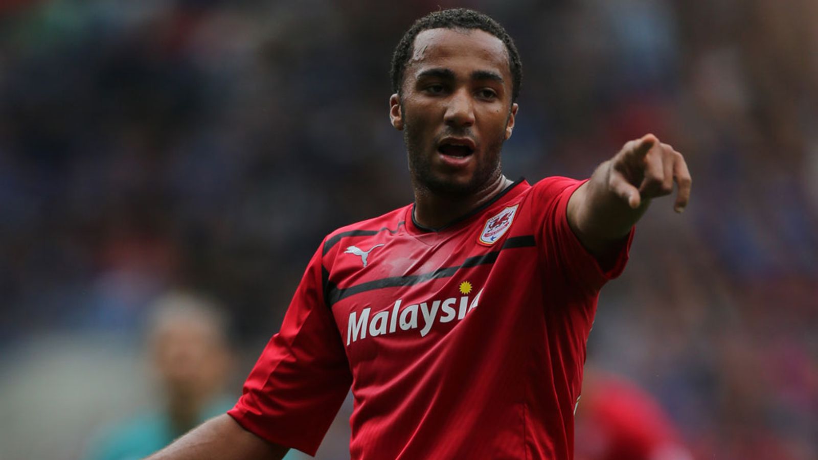 Malky Mackay confirms Cardiff striker Nicky Maynard's season is over ...