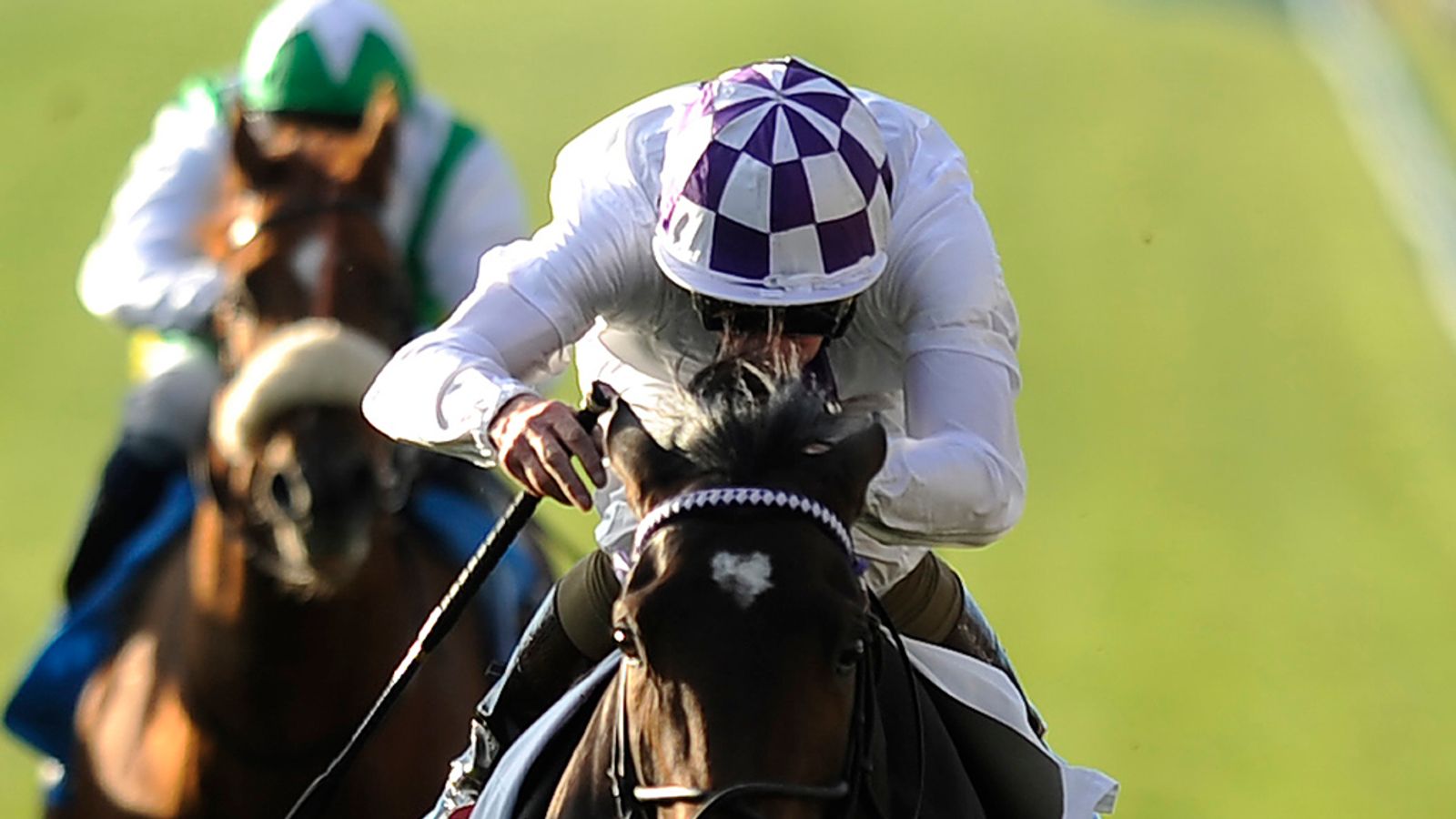 Jim Bolger hopes it's not wet for Trading Leather in Dante at York ...