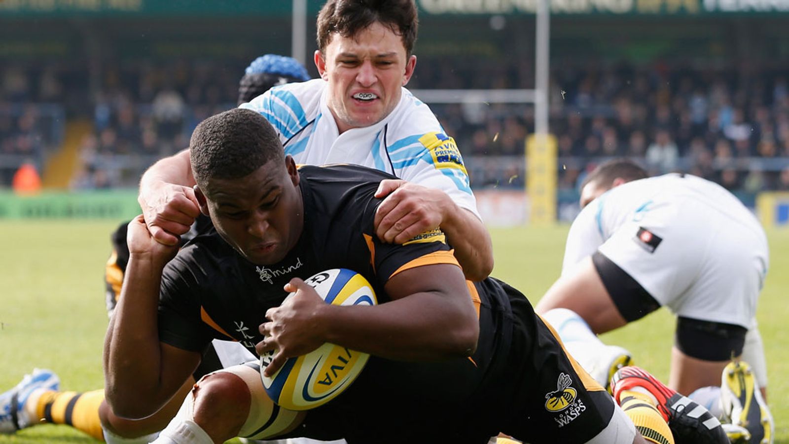 Wasps starlets Simon McIntyre and Alec Hepburn have extended their ...