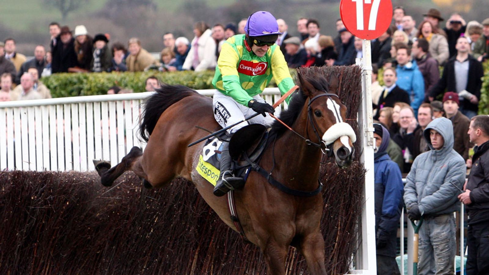 Kauto Star and Denman lead Retraining of Racehorses' RoR parade ...
