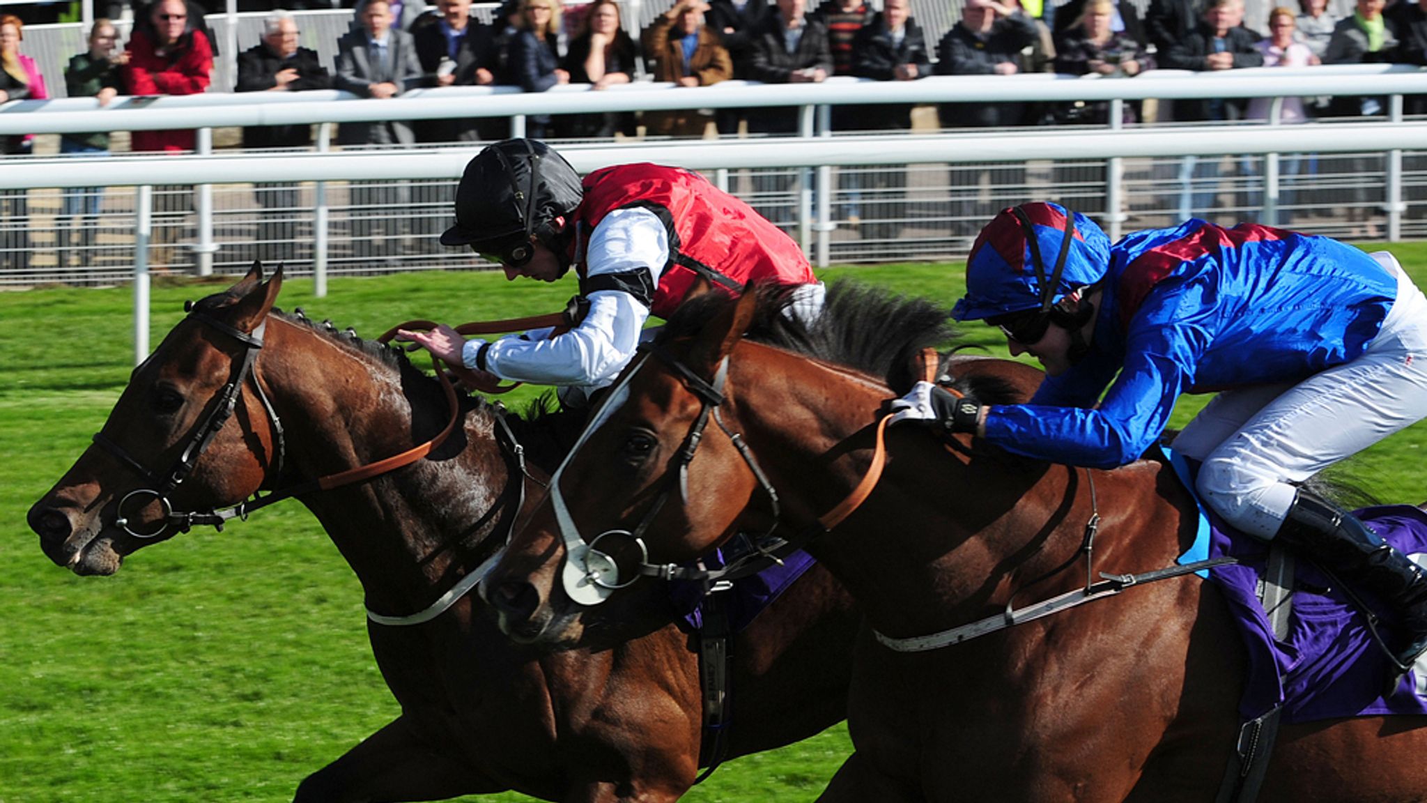 Richard Fahey with his unmissable guide to his weekend runners | Racing ...