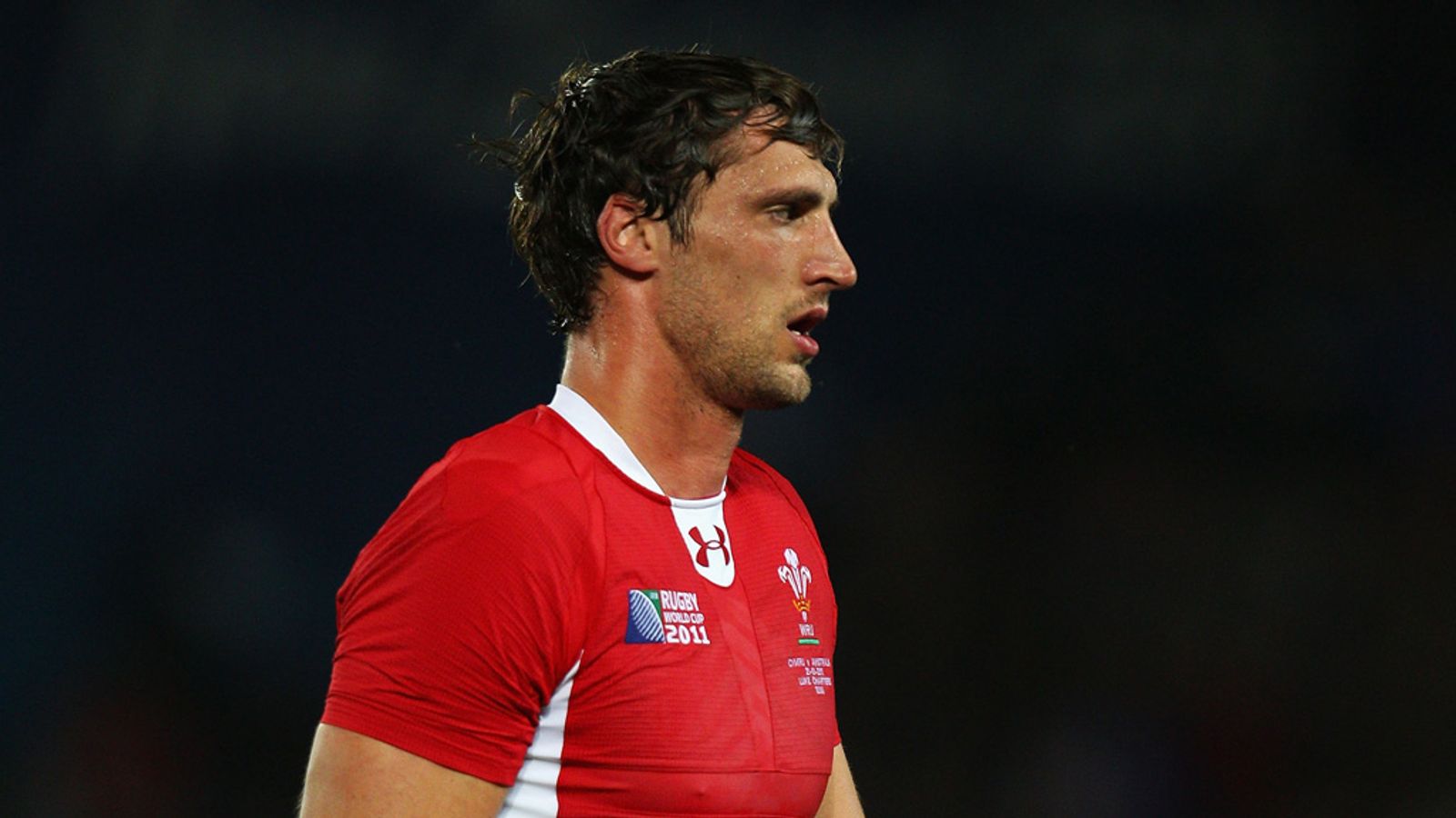 Luke Charteris: Let's spoil Australia captain Nathan Sharpe's ...