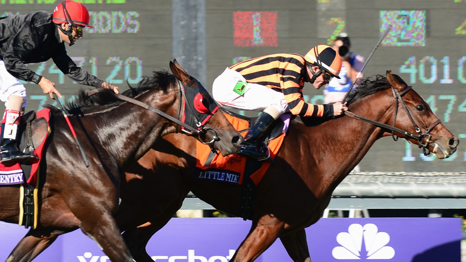 Contenders for Saturday's Dubai Duty Free that took to the Meydan track ...