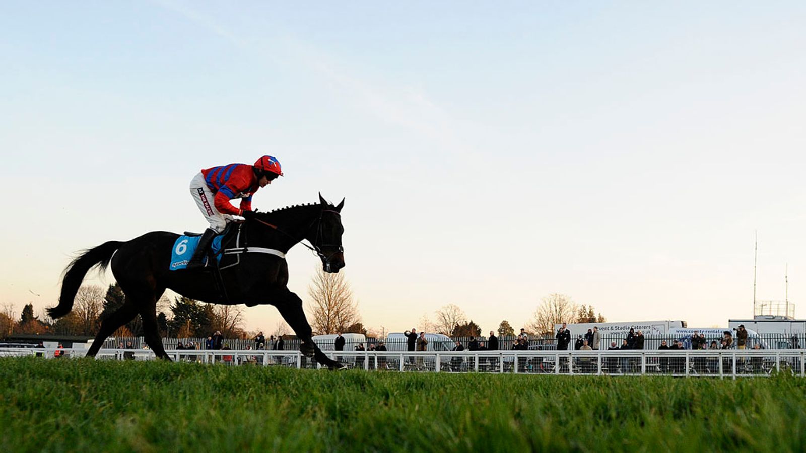 Sprinter Sacre heads seven entries for the Victor Chandler Chase ...