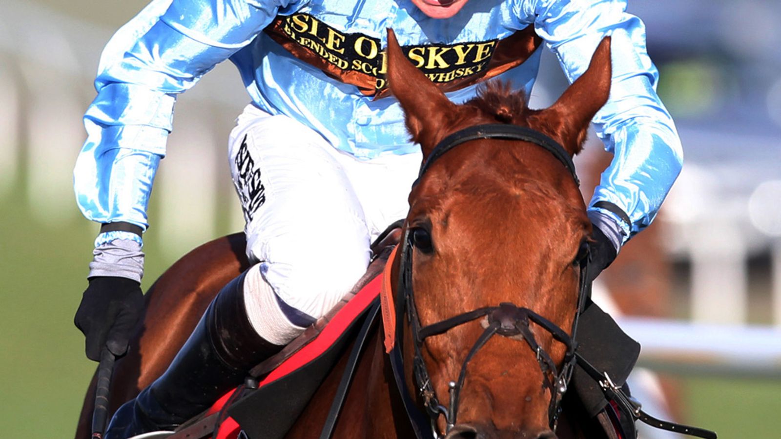 Tap Night swerves Sandown weekend target for chasing debut | Racing ...