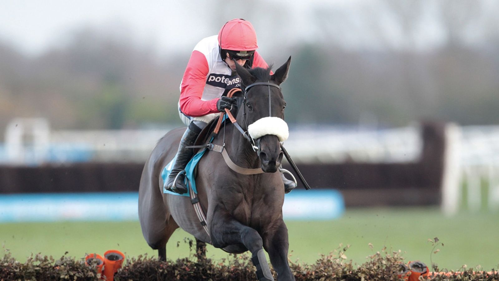 Andy Stewart has nominated Newbury as a target for the returning Big ...