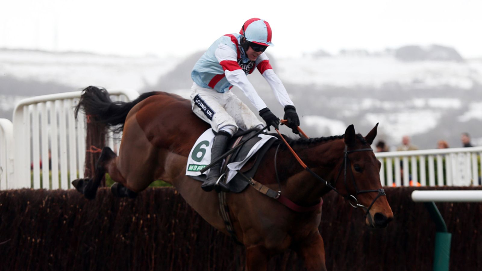 Katenko is set to return to action at Sandown on Saturday | Racing News ...