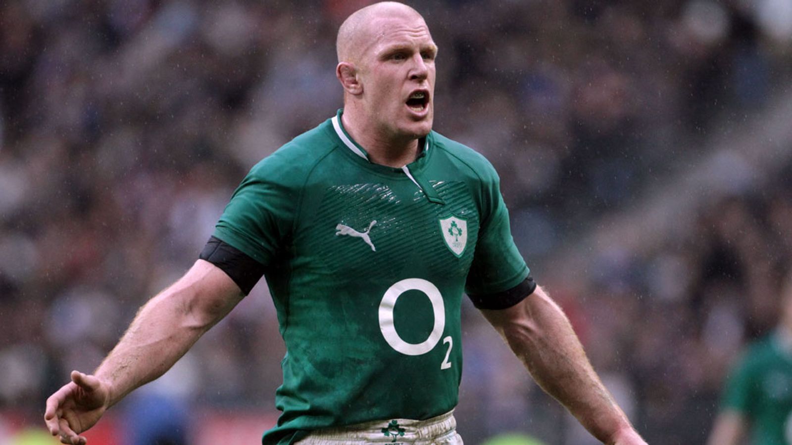 Ireland lock Paul O'Connell makes successful comeback for injury ...