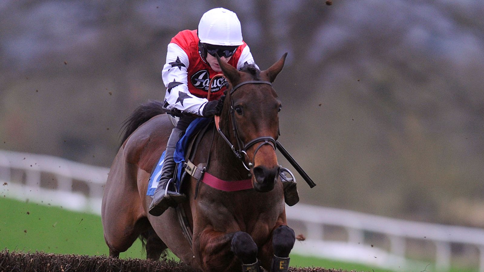 Venetia Williams had treble as all seven favourites won at Taunton ...