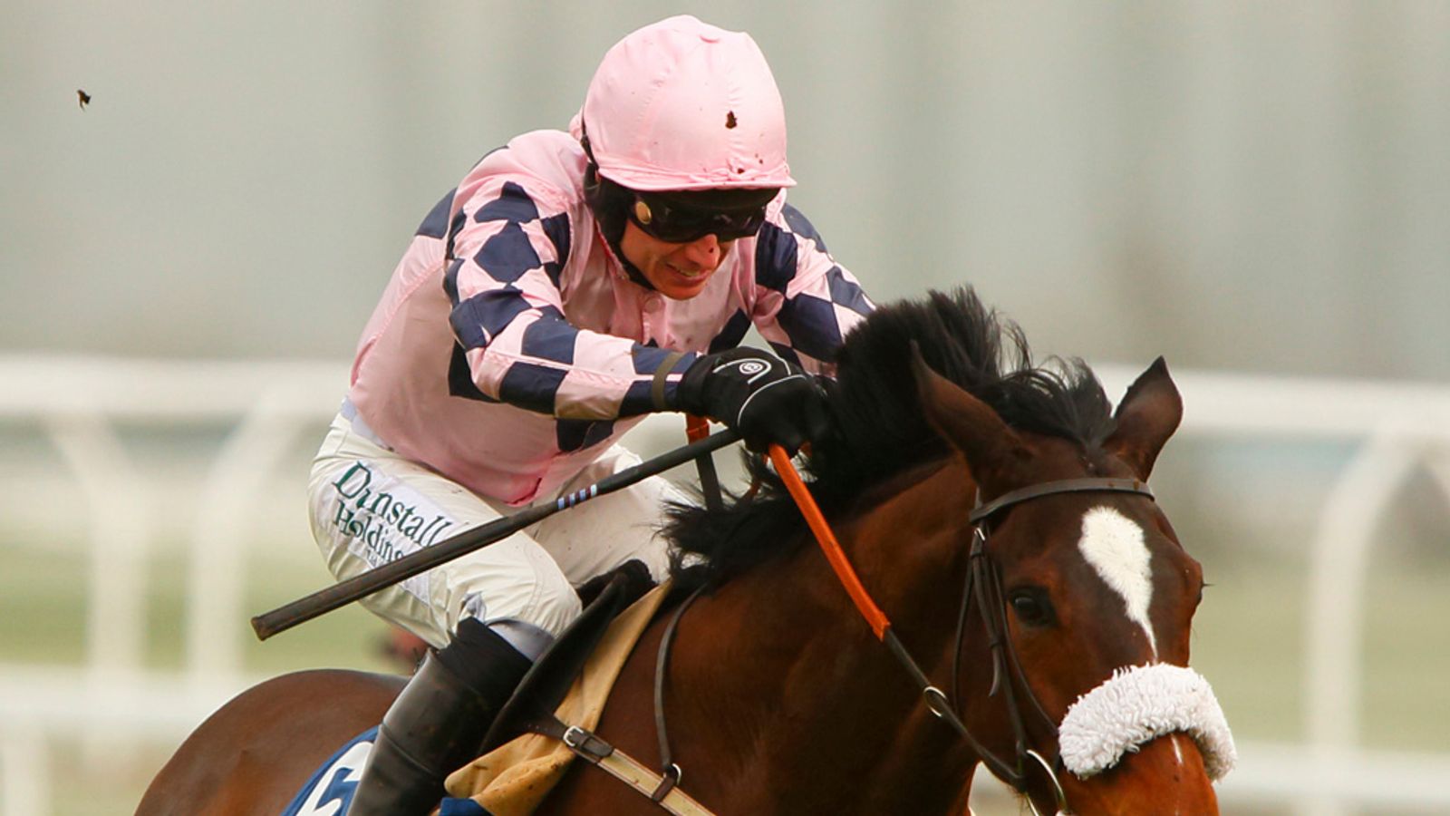 Our gallops reporter has the latest from Kingsclere Stables | Racing ...