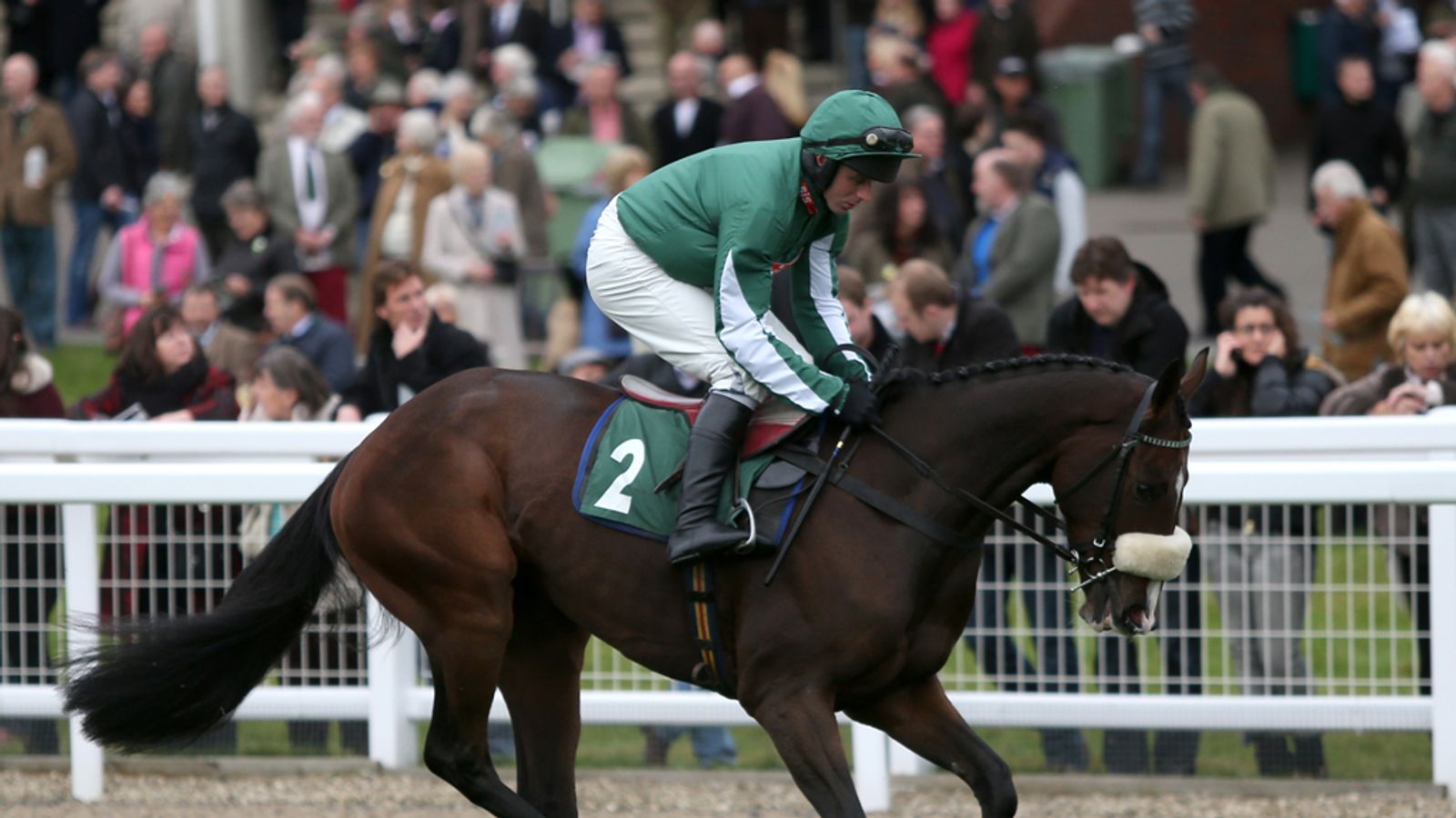 Evan Williams hopes Court Minstrel can scrape in at the foot of the ...